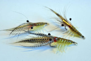 13 Awesome Shrimp Patterns